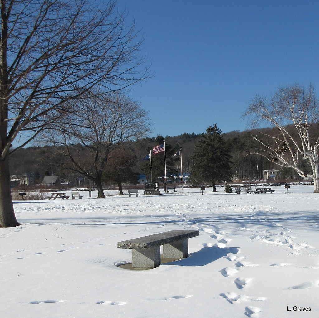 Happy, Happy Inauguration Day! | Notes From the Hinterland